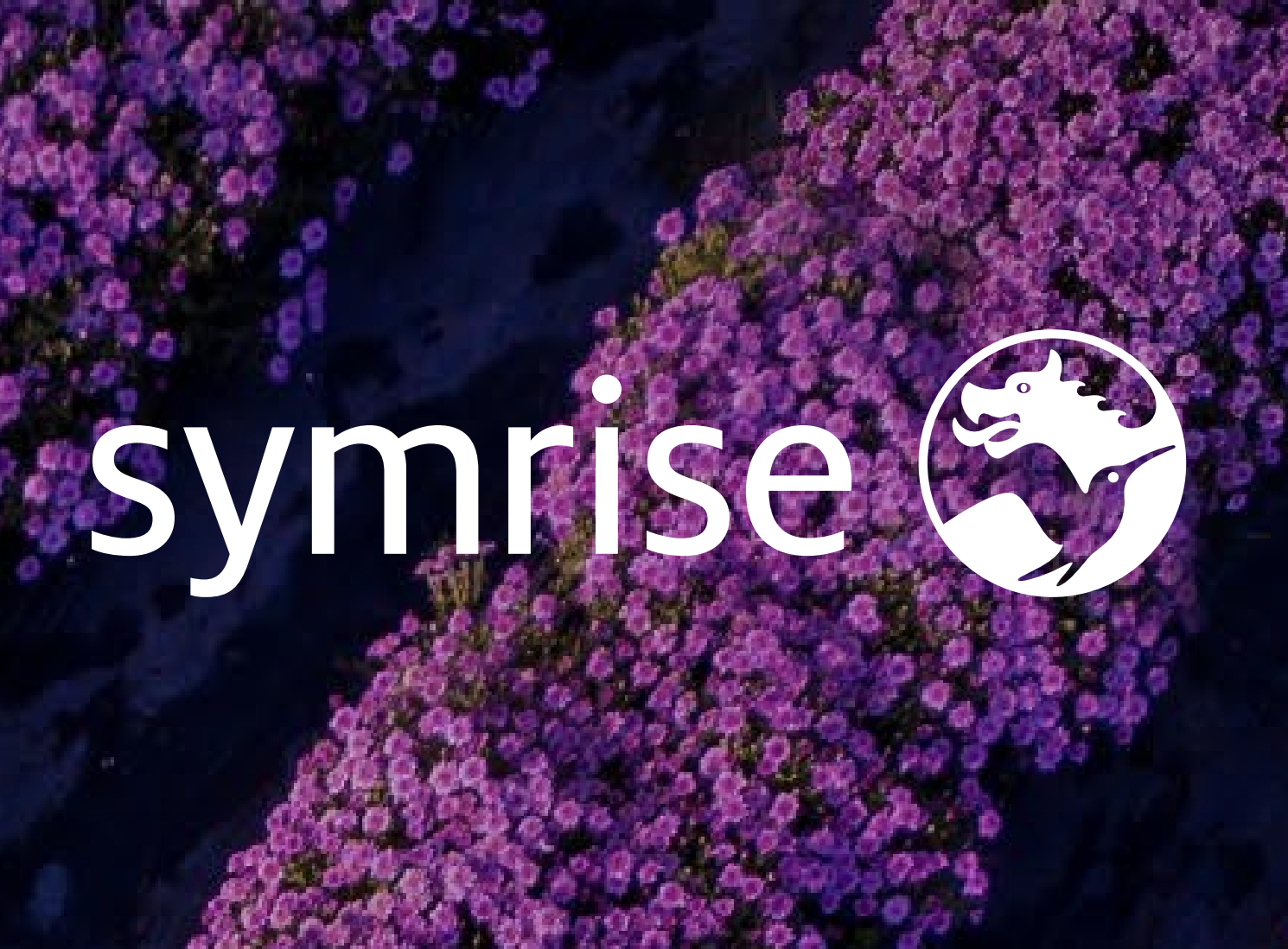 Symrise AG Company: A Comprehensive Profile - FirmsWorld